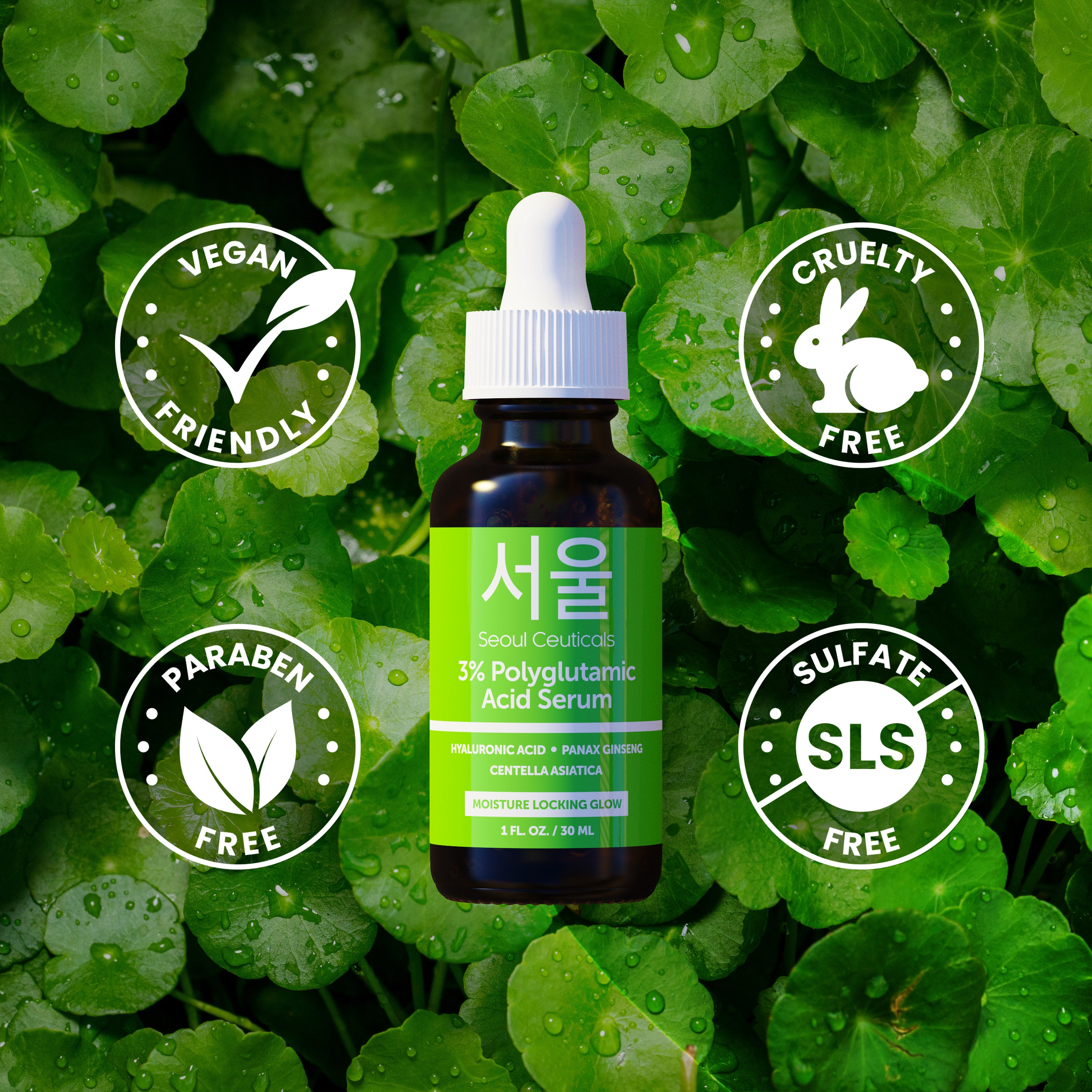 3% Polyglutamic Acid Serum – SeoulCeuticals